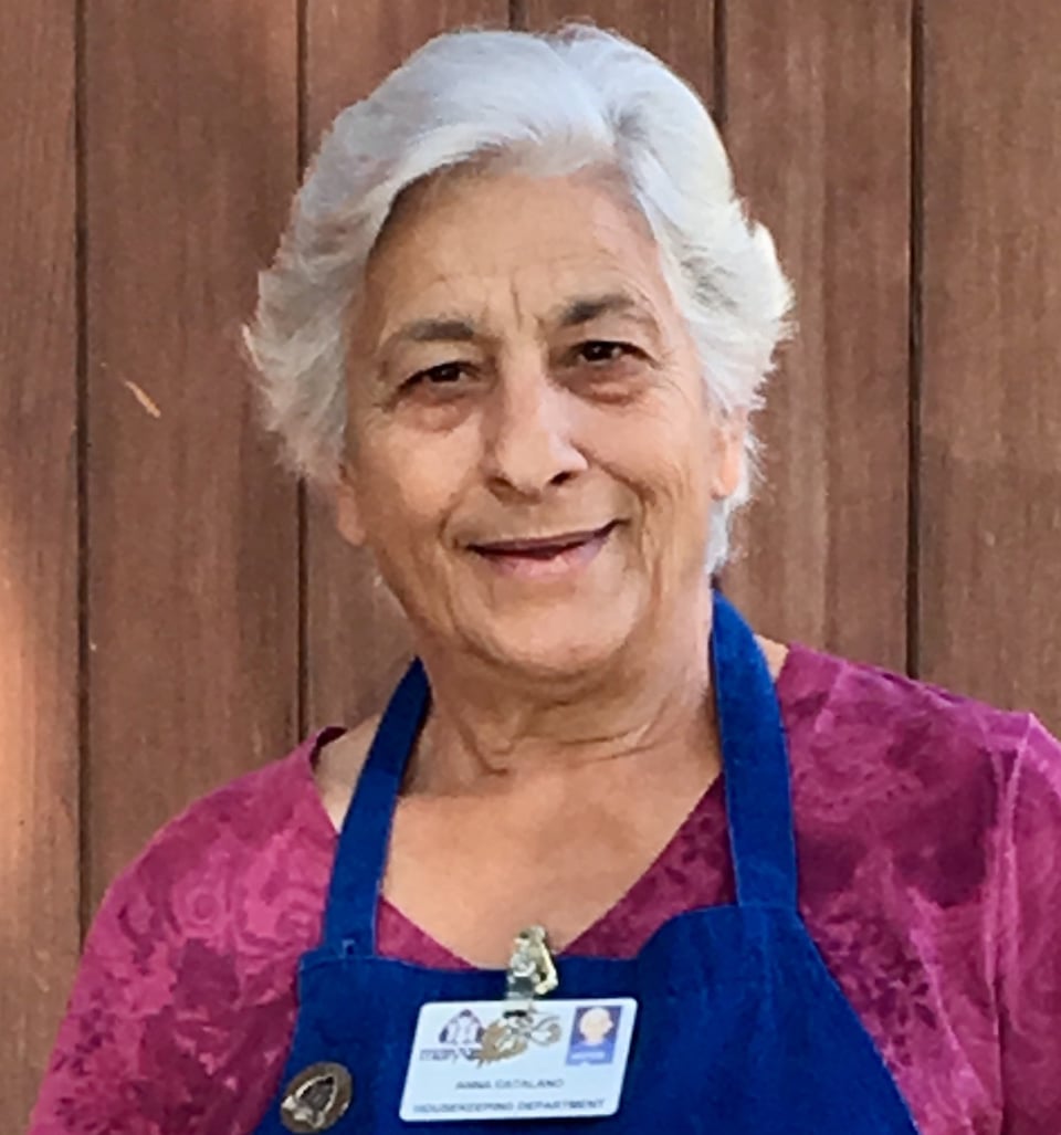 Unsung Hero Anna Catalano