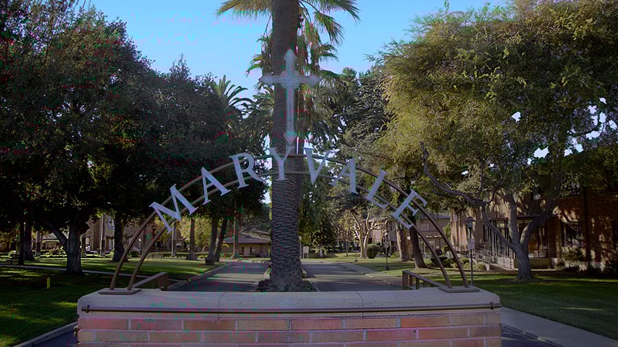 Christina Moore, MAEd & MBA Vice President, Early Childhood Education ...